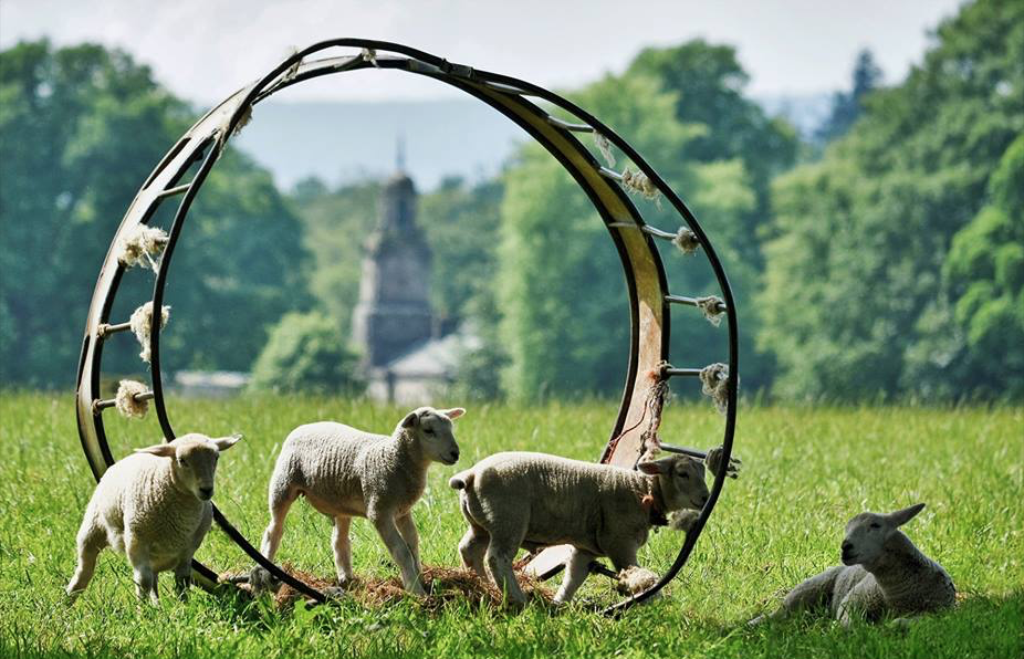Photo Gallery | Ardgowan Estate 2023